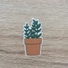 Plant Sticker | Waterproof Sticker | FREE SHIPPING - Etsy