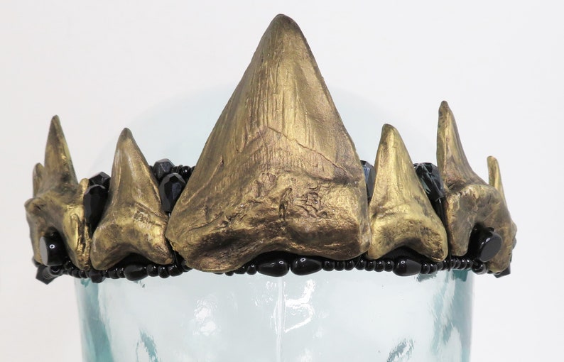 Fossil Shark Crown Ancient Oceans Mermid Fossil Crowns - Etsy