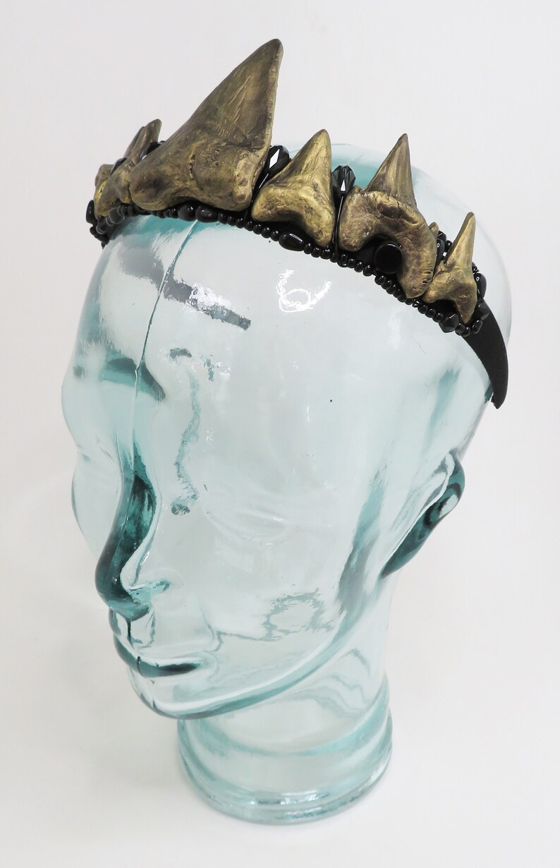 Fossil Shark Crown Ancient Oceans Mermid Fossil Crowns - Etsy