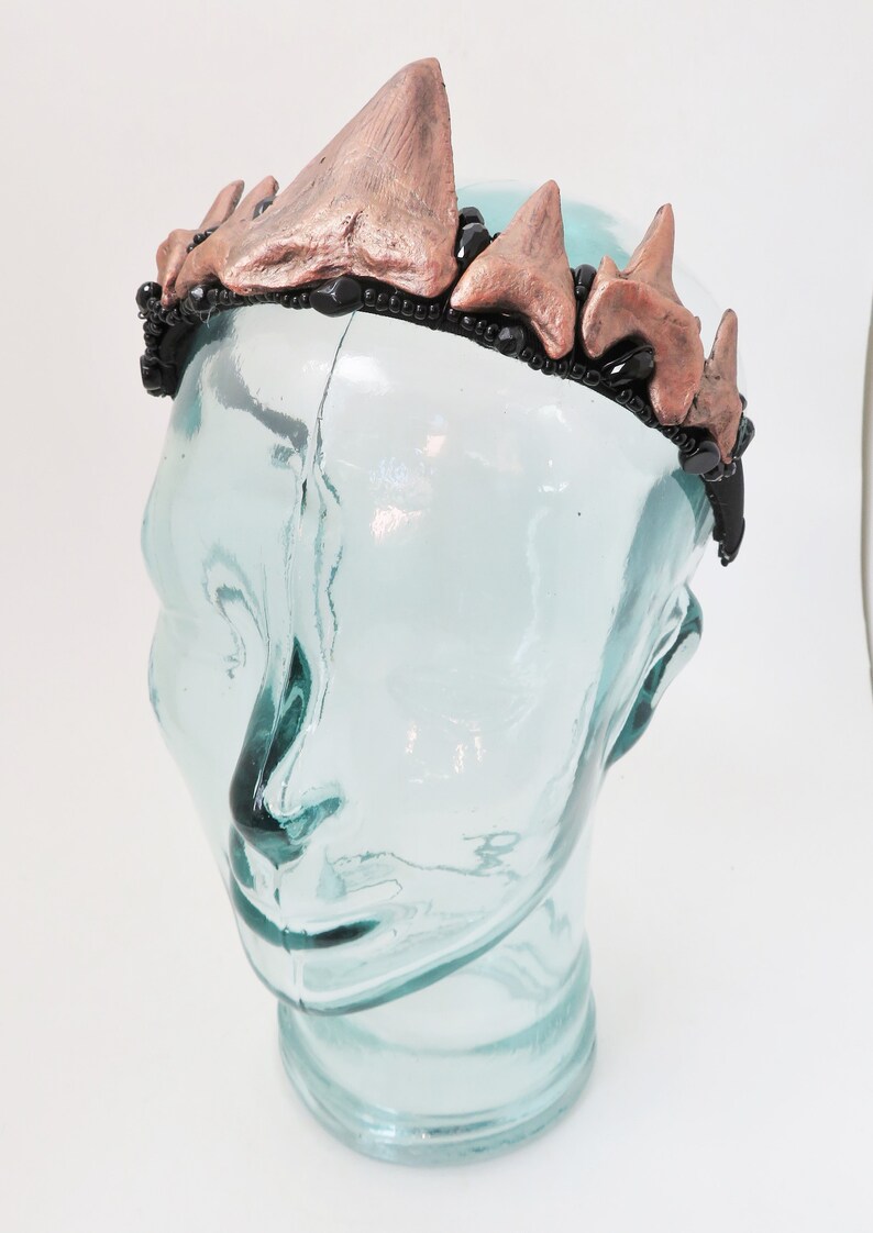 Fossil Shark Crown Ancient Oceans Mermid Fossil Crowns - Etsy