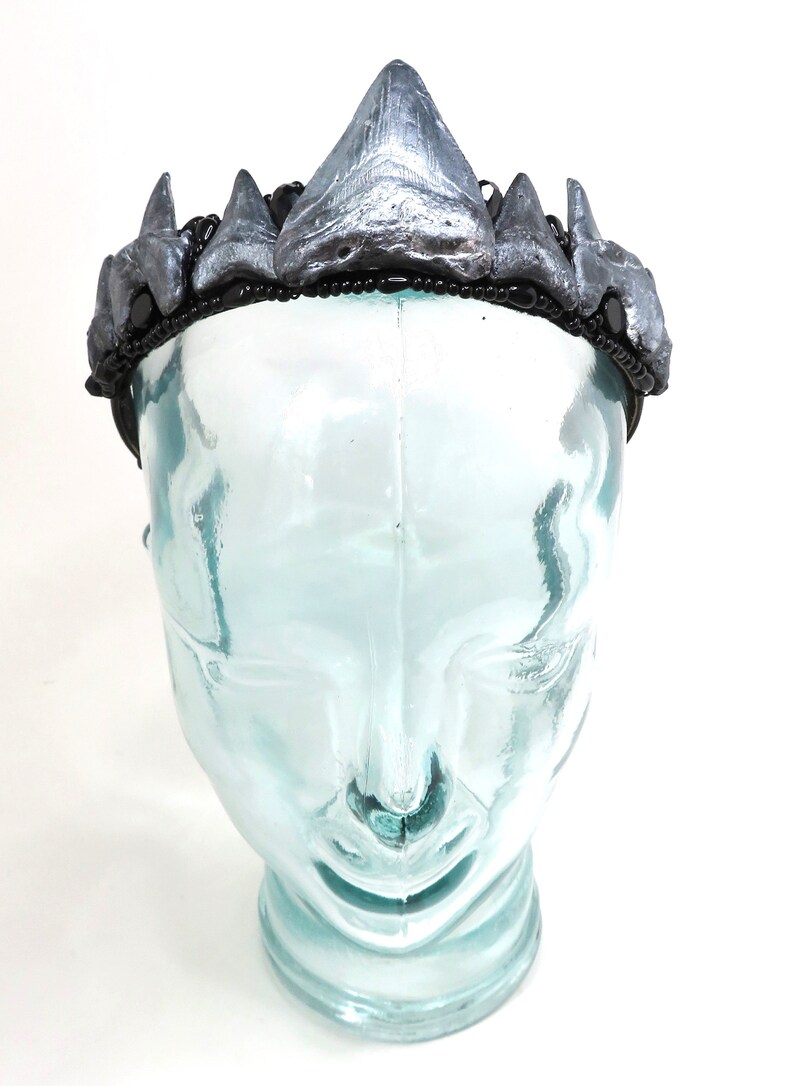 Fossil Shark Crown - SWIMMABLE Ancient Oceans Mermid Fossil Crowns ...