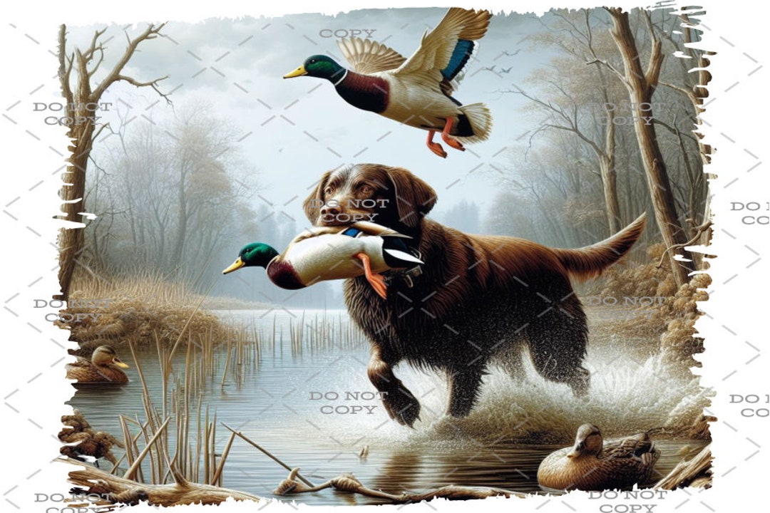 Hunting Dog PNG | Duck Hunting Sublimation Design | Bird Dog Mallard ...