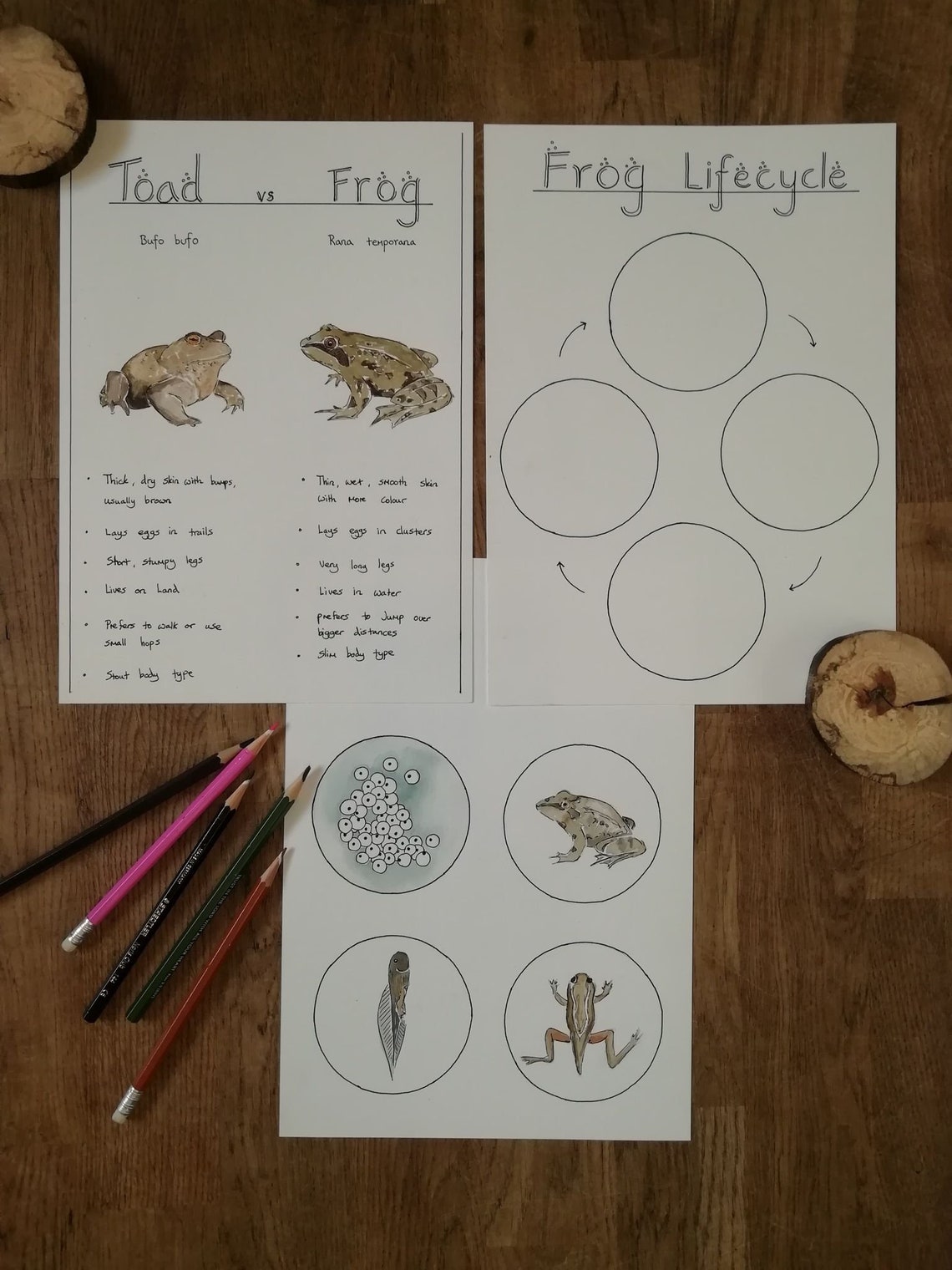 Frog and Toad Printable Pack - Etsy