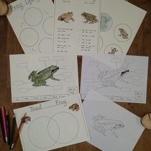 Frog and Toad Printable Pack - Etsy