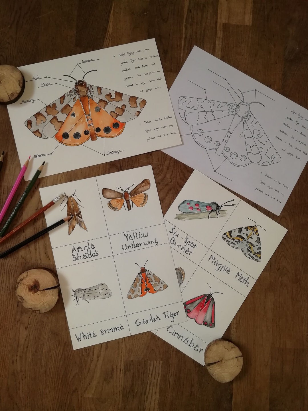 Moth Printable Pack - Etsy