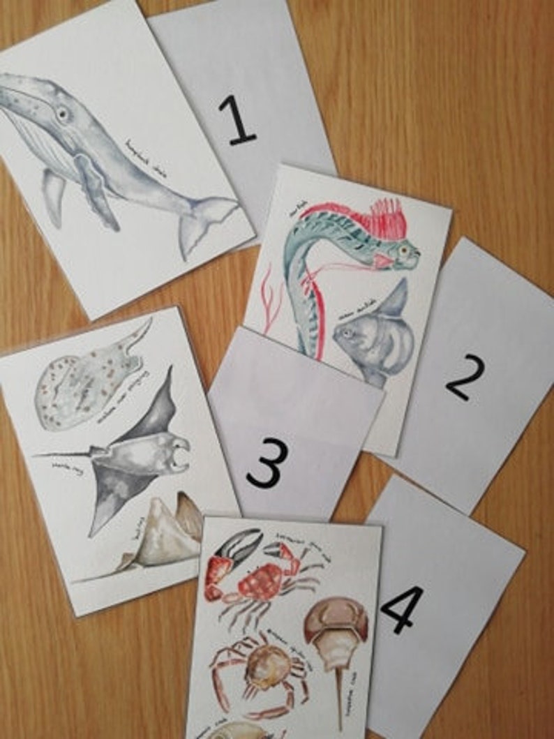 10 Ocean Animals Number Flashcards | Etsy