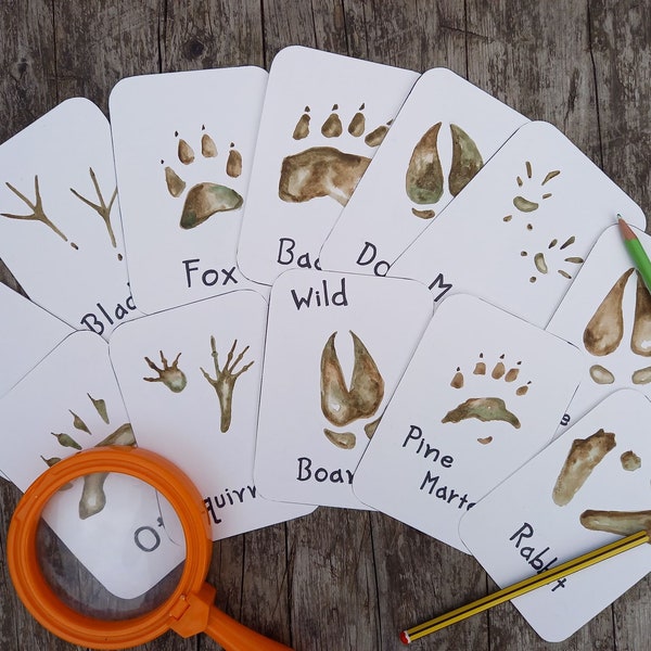Animal Track Flashcards - Etsy