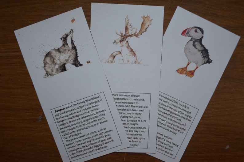 British Animals| Identification| Information Flashcards - Etsy