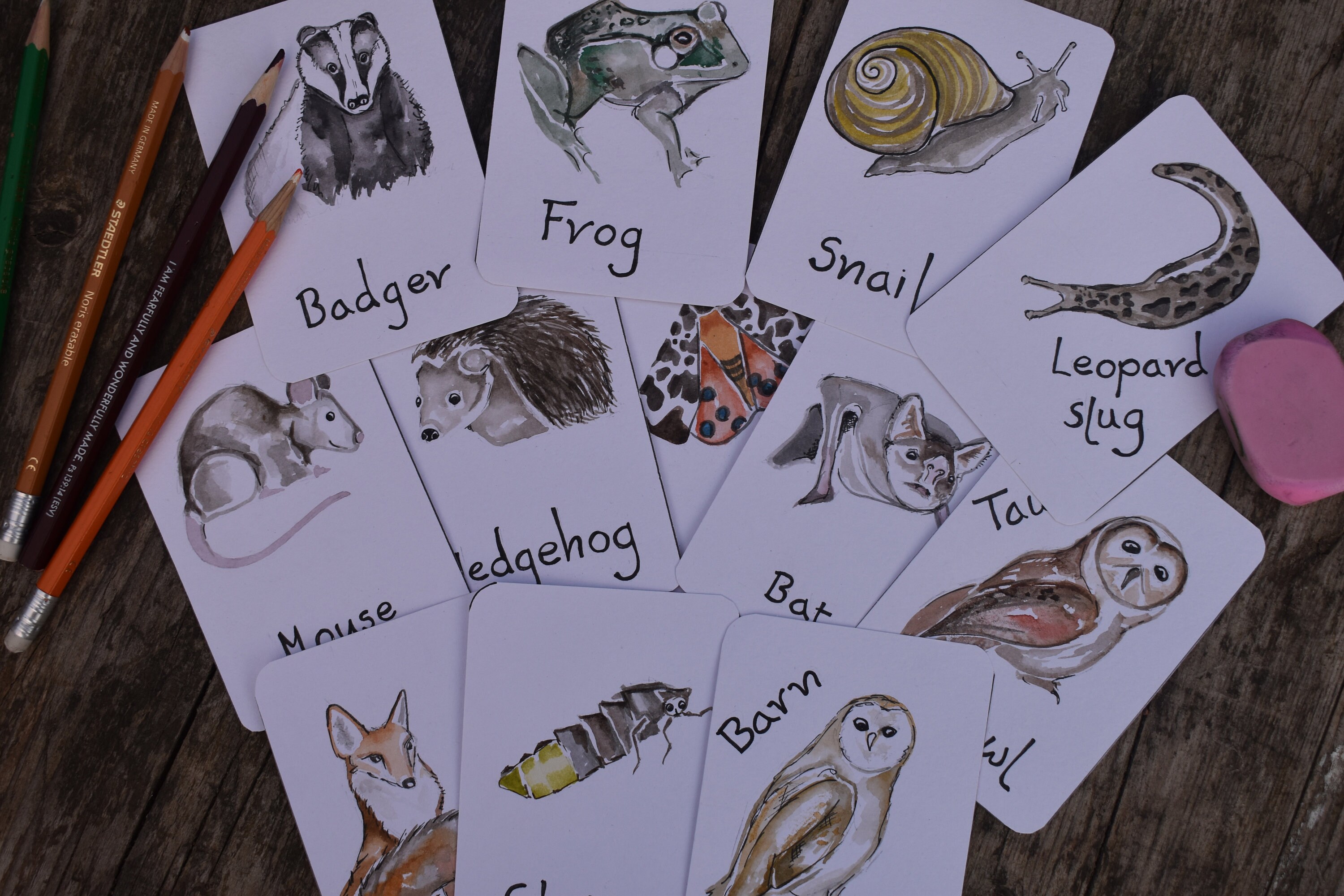 Nocturnal Animals Flashcards | British Identification - Etsy