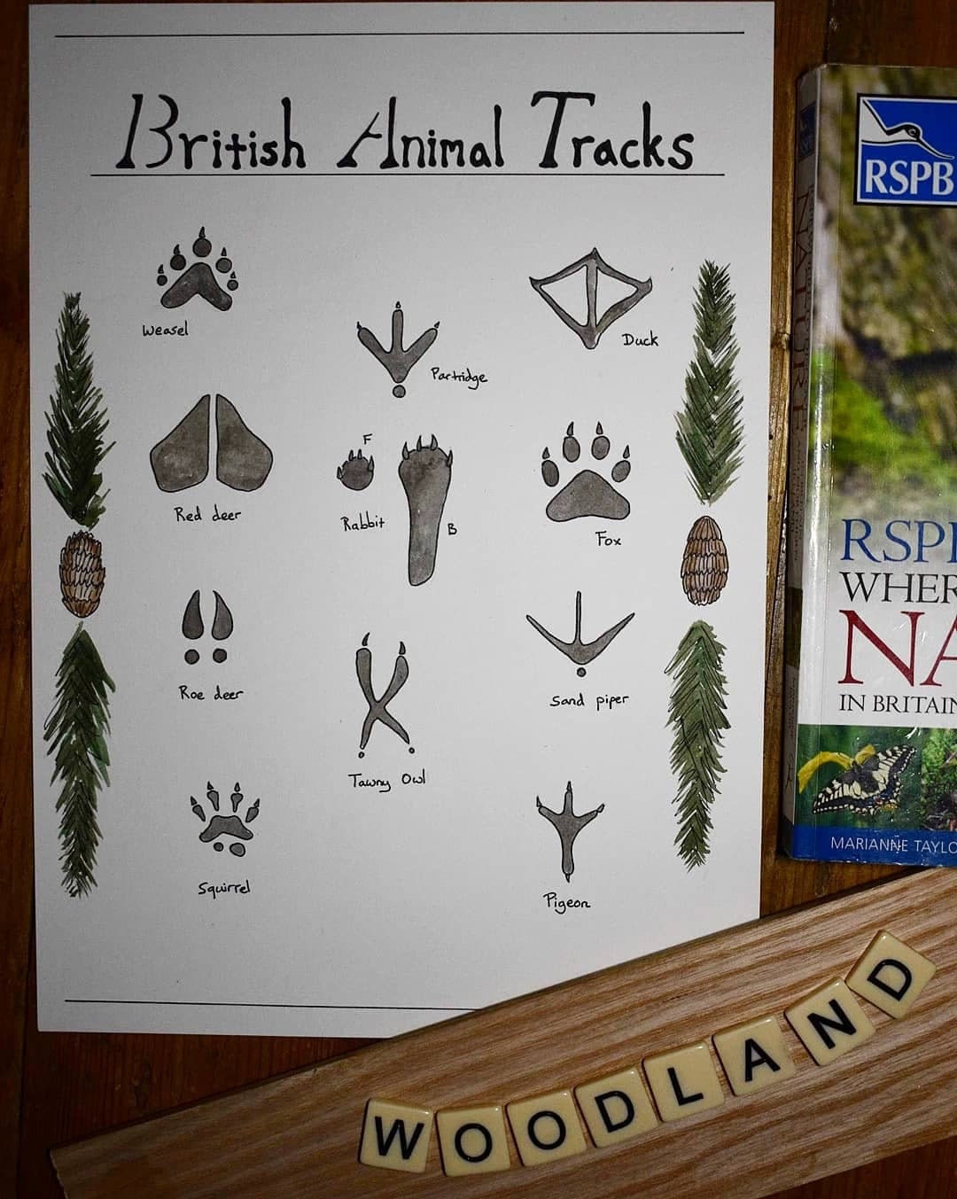 British Tracks Poster - Etsy