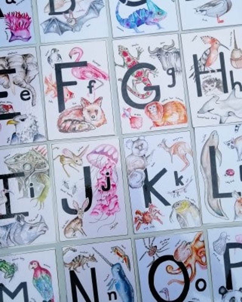 Animal Alphabet Learning Flashcards | HARD COPY | With Over 100 ...