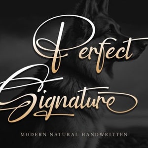 Perfect Signature Font - Etsy