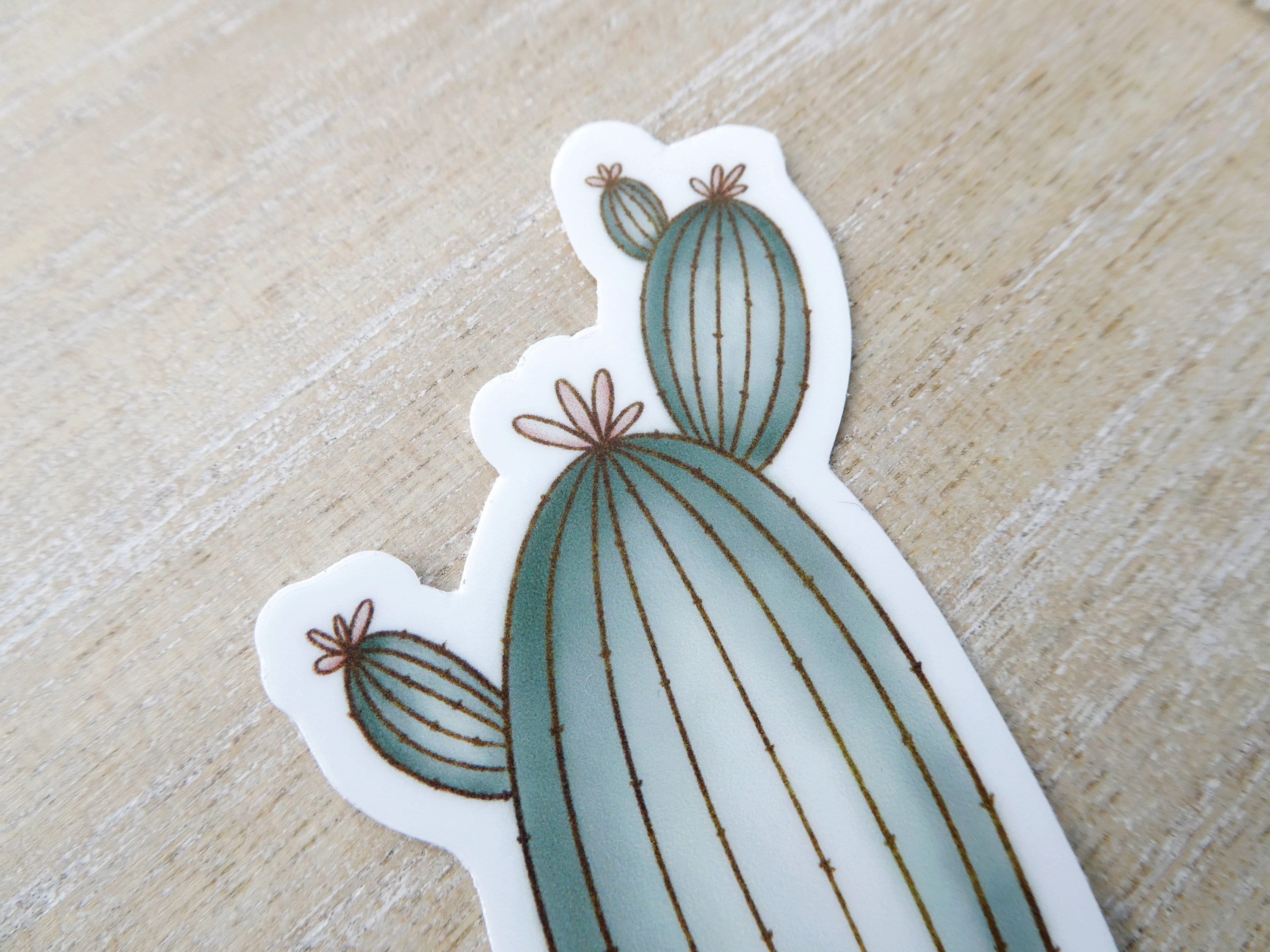 Watercolor Cactus 3” Vinyl Sticker for Plant Lovers - Waterproof for ...