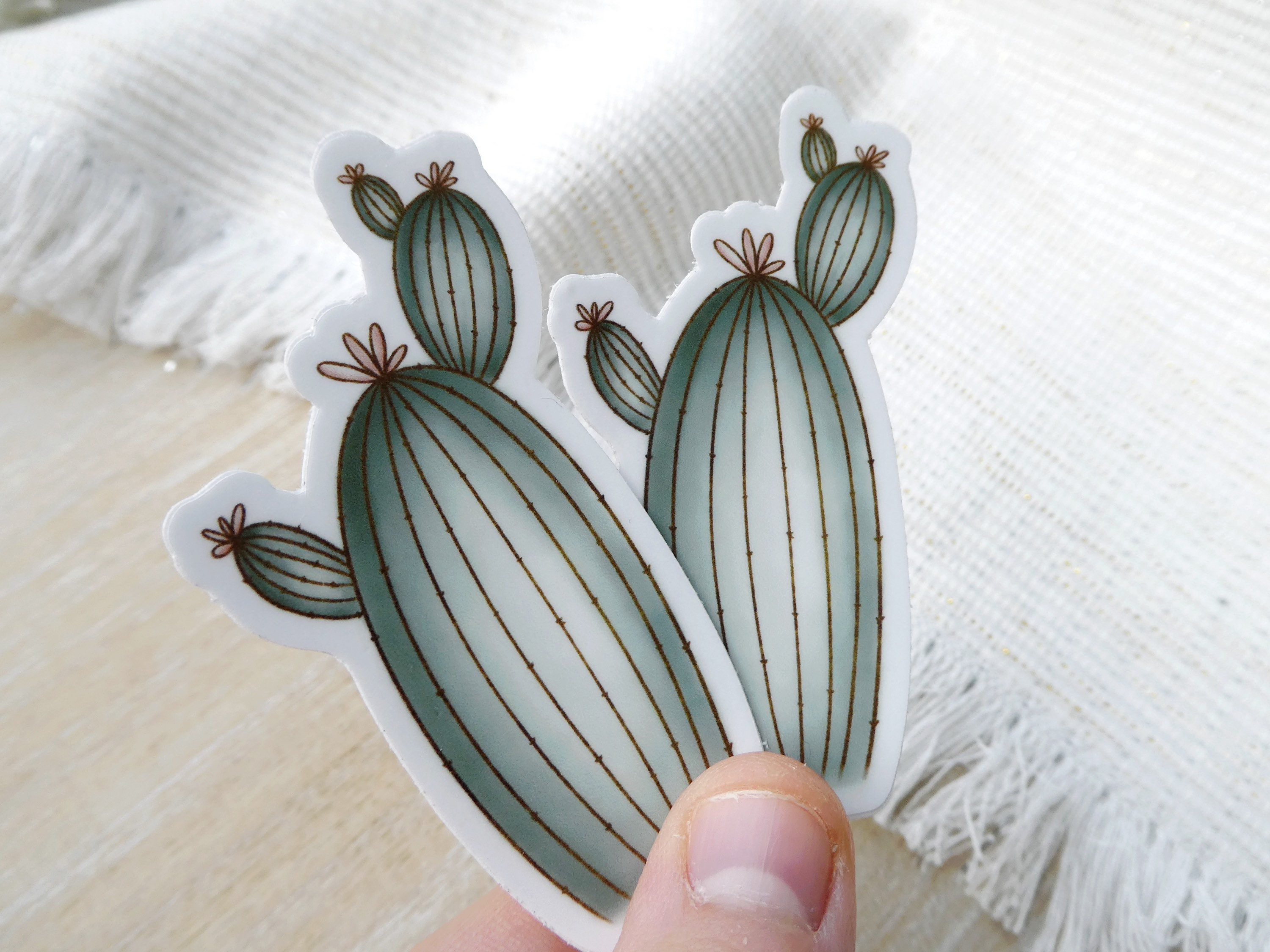 Watercolor Cactus 3” Vinyl Sticker for Plant Lovers - Waterproof for ...