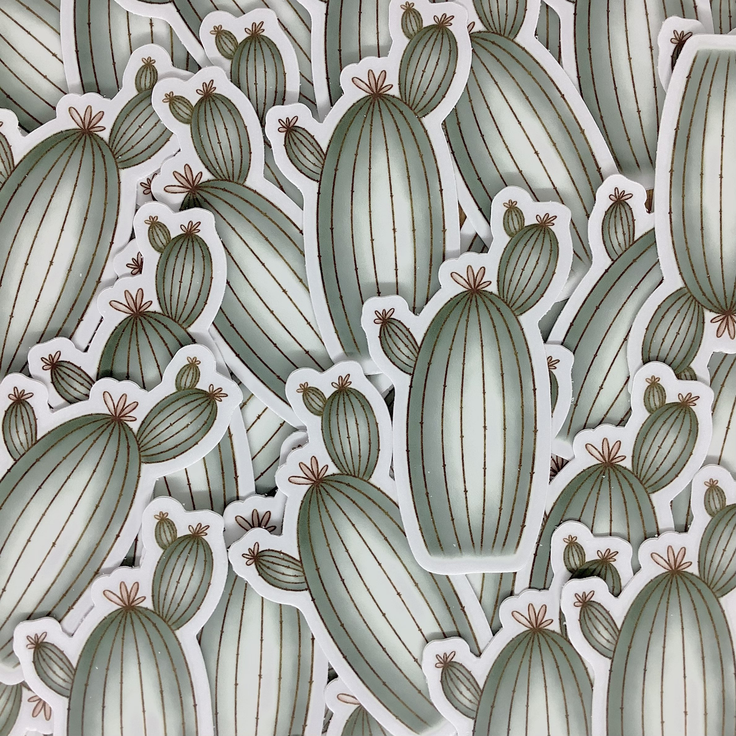 Watercolor Cactus 3” Vinyl Sticker for Plant Lovers - Waterproof for ...