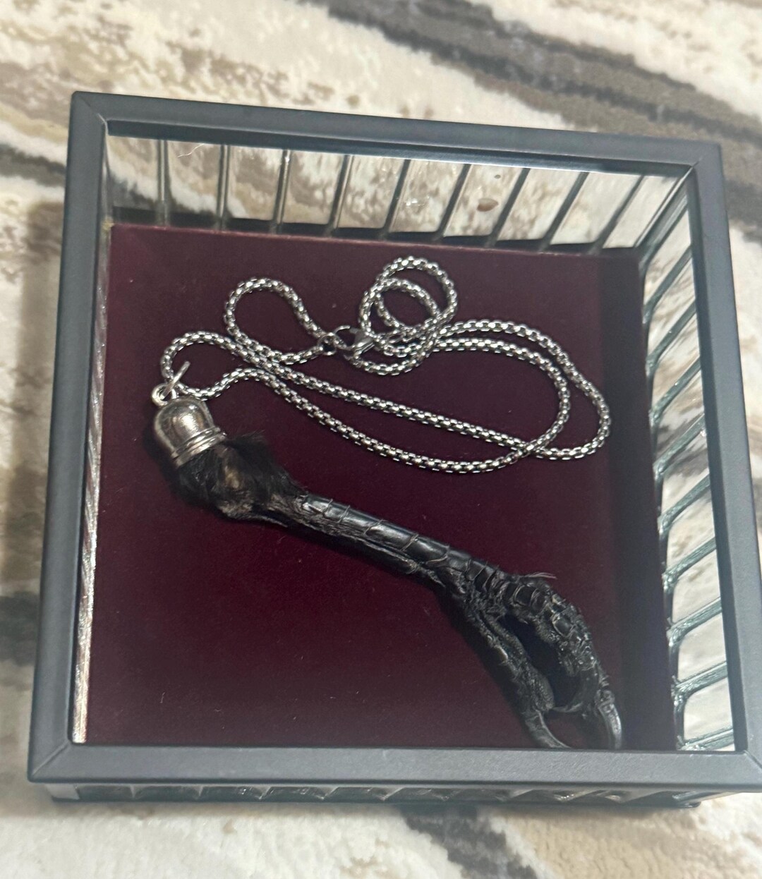 Real Crow Claw Hung on Silver Colour Necklace, Comes in Black Gift Box ...