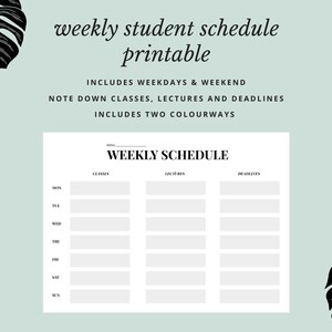 Student Weekly Schedule Printable, Class Planner, Weekly Organizer ...