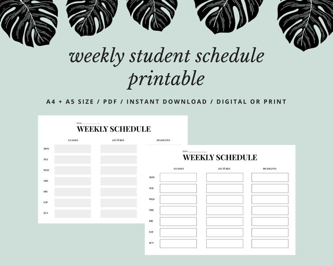 Student Weekly Schedule Printable, Class Planner, Weekly Organizer ...