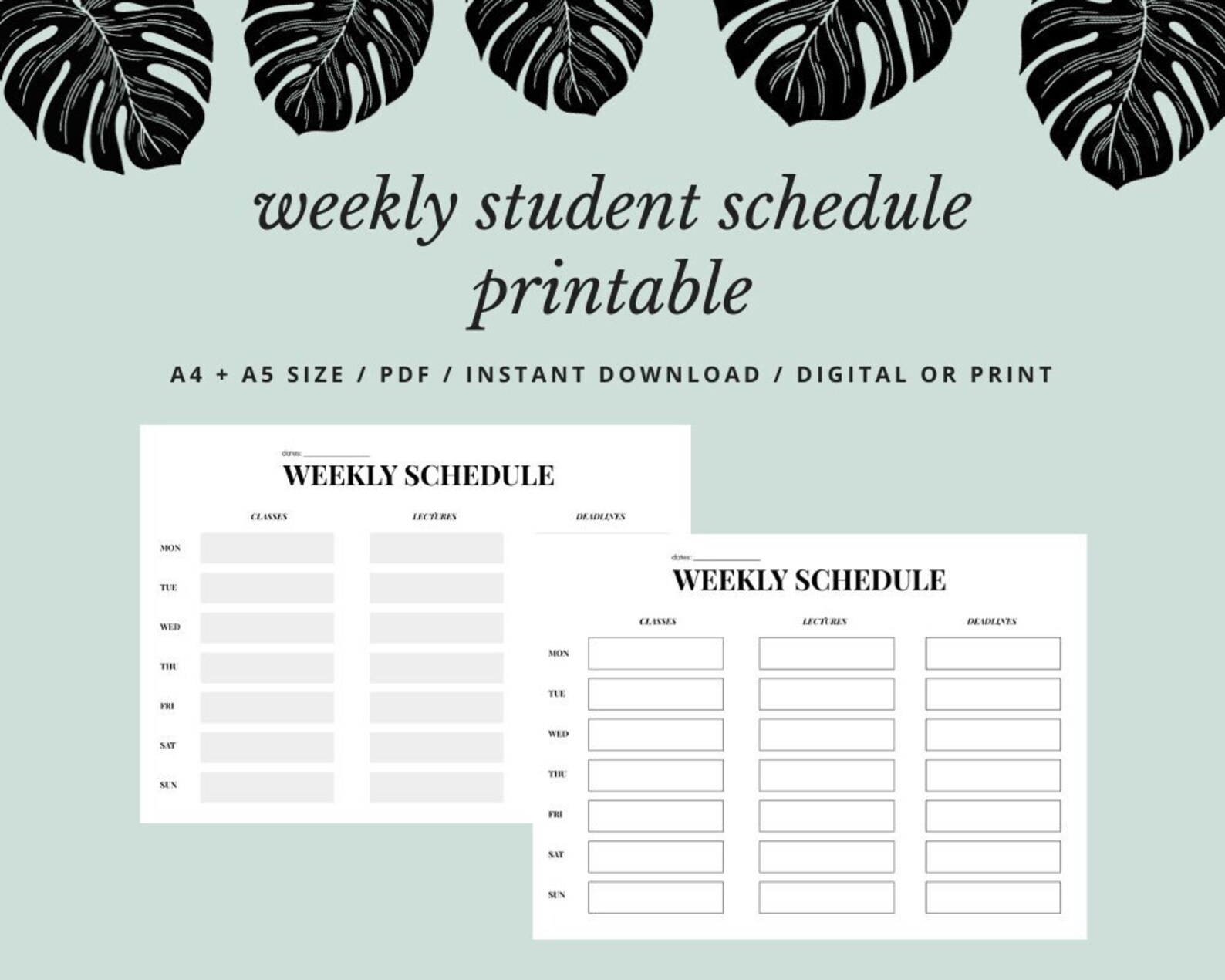 Student Weekly Schedule Printable, Class Planner, Weekly Organizer ...