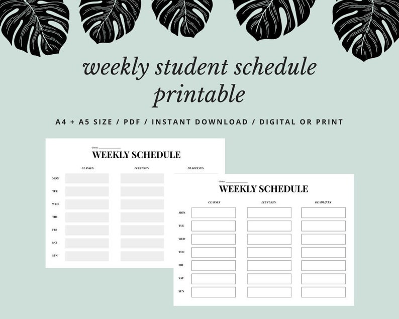 Student Weekly Schedule Printable, Class Planner, Weekly Organizer ...