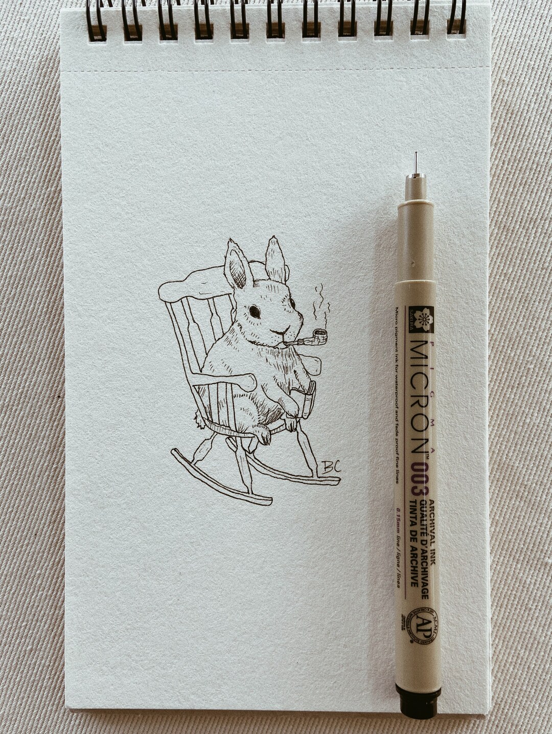 Rabbit Illustration Realistic Bunny Pen Drawing Rabbit Reading a Book ...