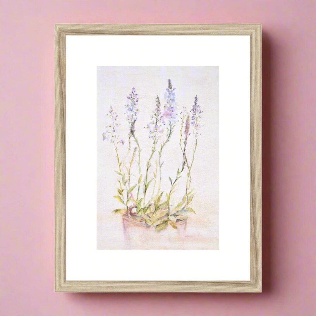 Veronica Speedwell Framed Botanical Print: Watercolor Floral Wall Art ...
