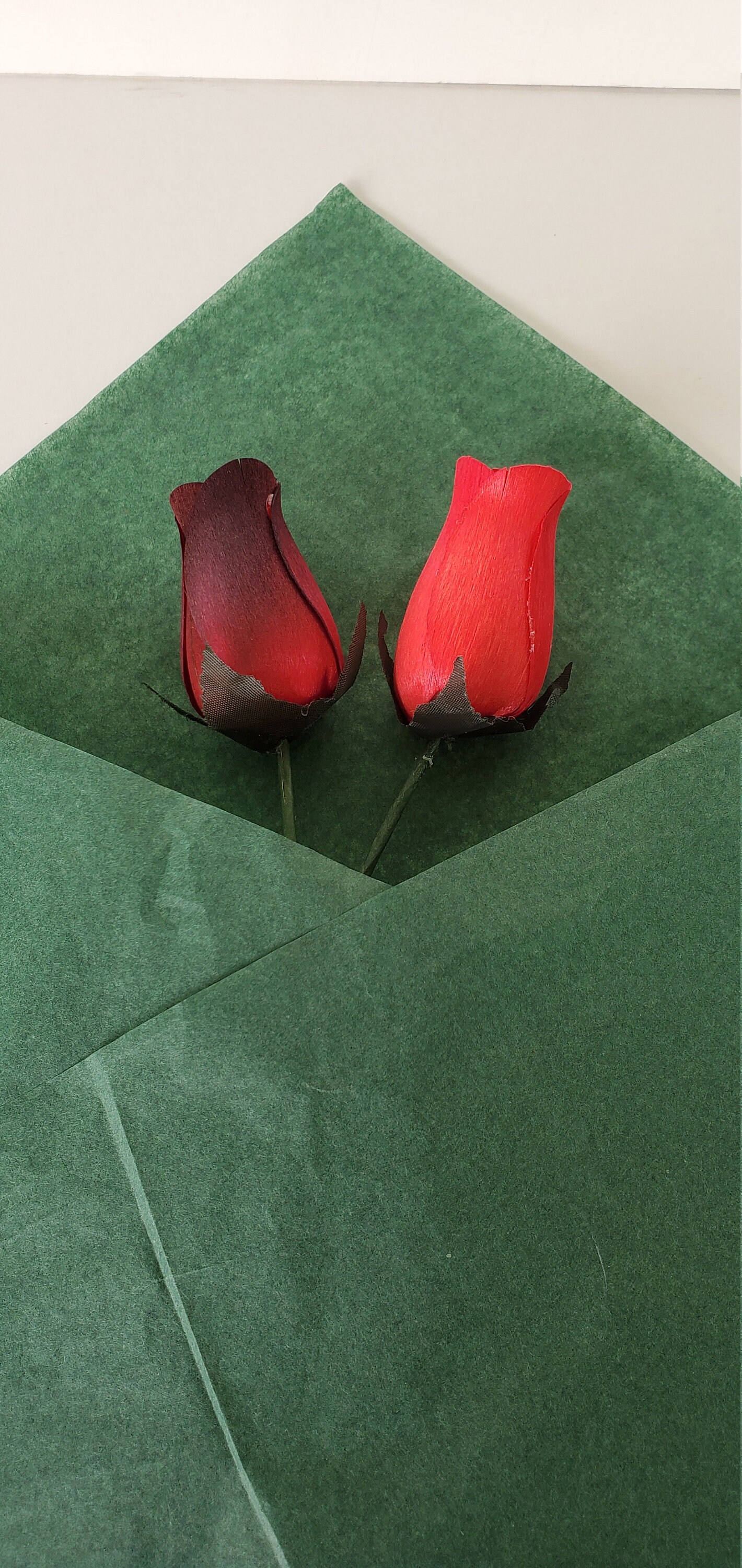 Dozen Long Stem Roses in White Gift Box With Clear Window - Etsy