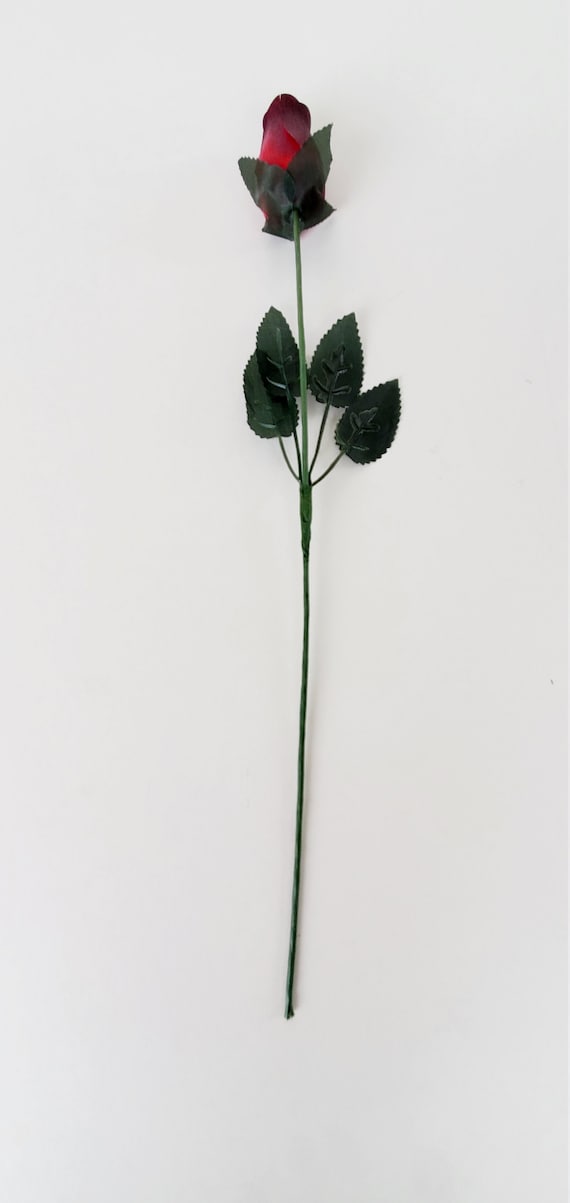 Single Stem Rose Black And White