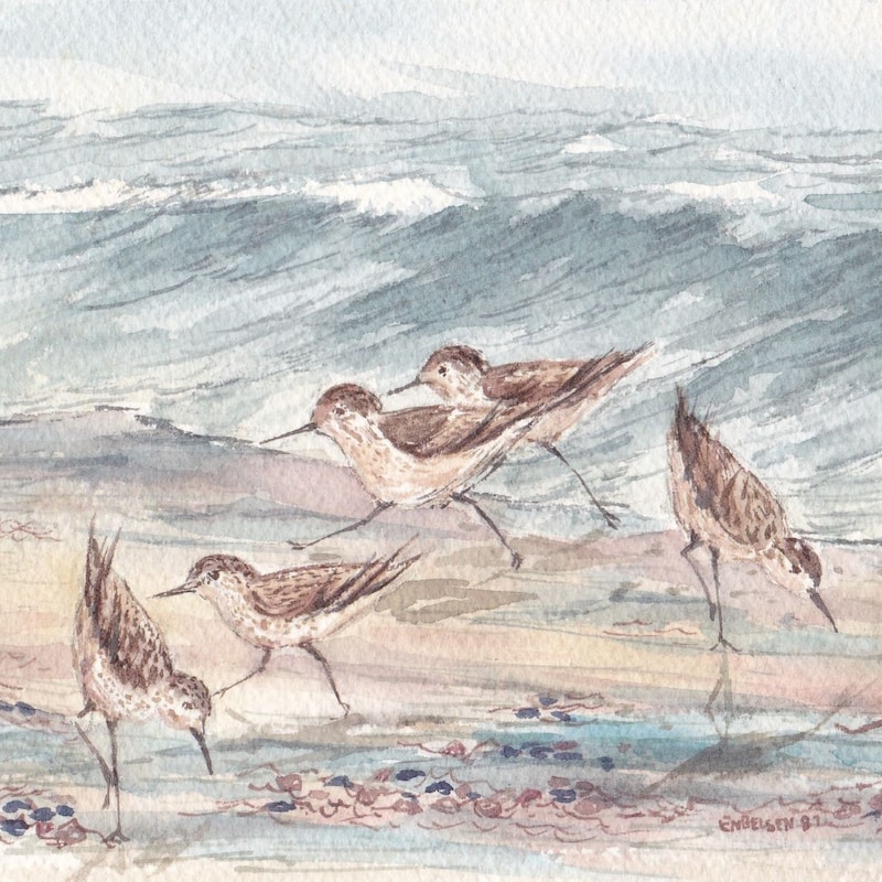 Sandpiper Canvas Art - Etsy
