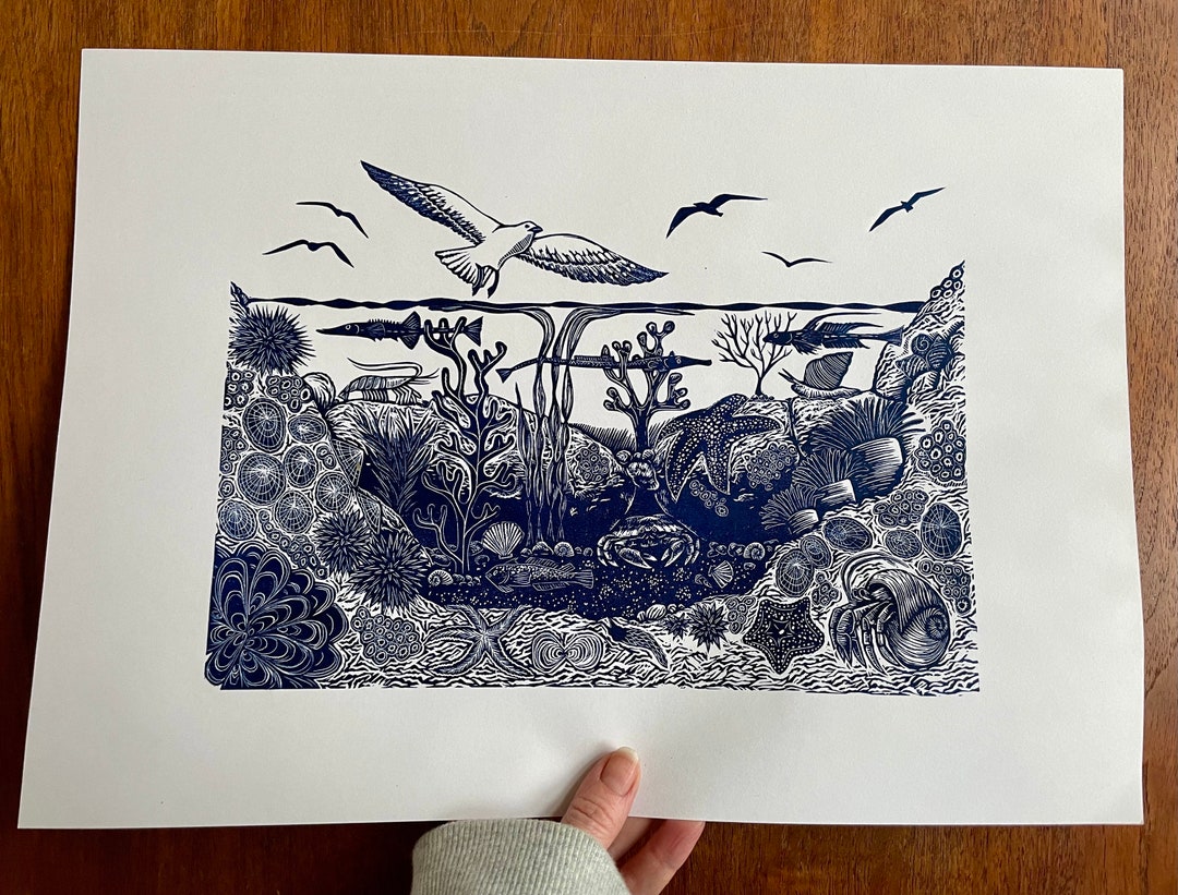 Rockpool, Original Linocut Art Print, Fish, Seaweed, Crab, Shells - Etsy