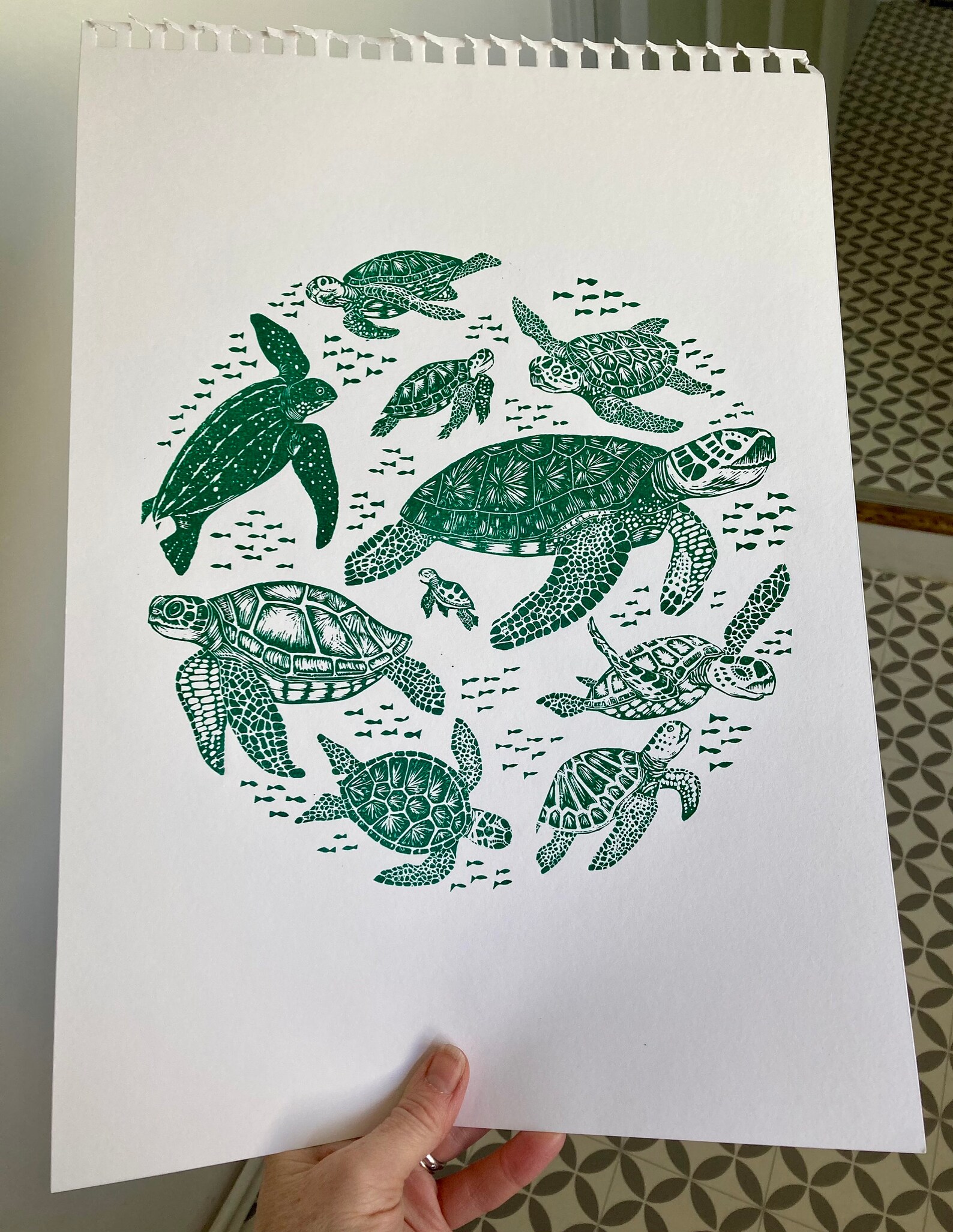 Turtle Circle, Original Limited Edition Linocut Print, Green - Etsy