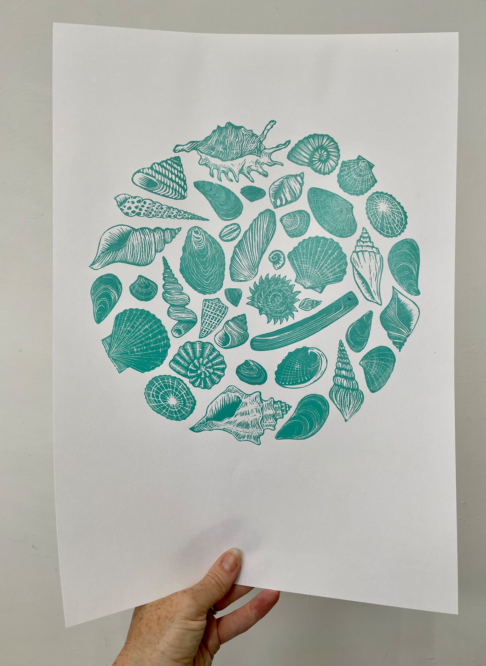 A3 Shell Circle, Original Linocut Art Print - Etsy