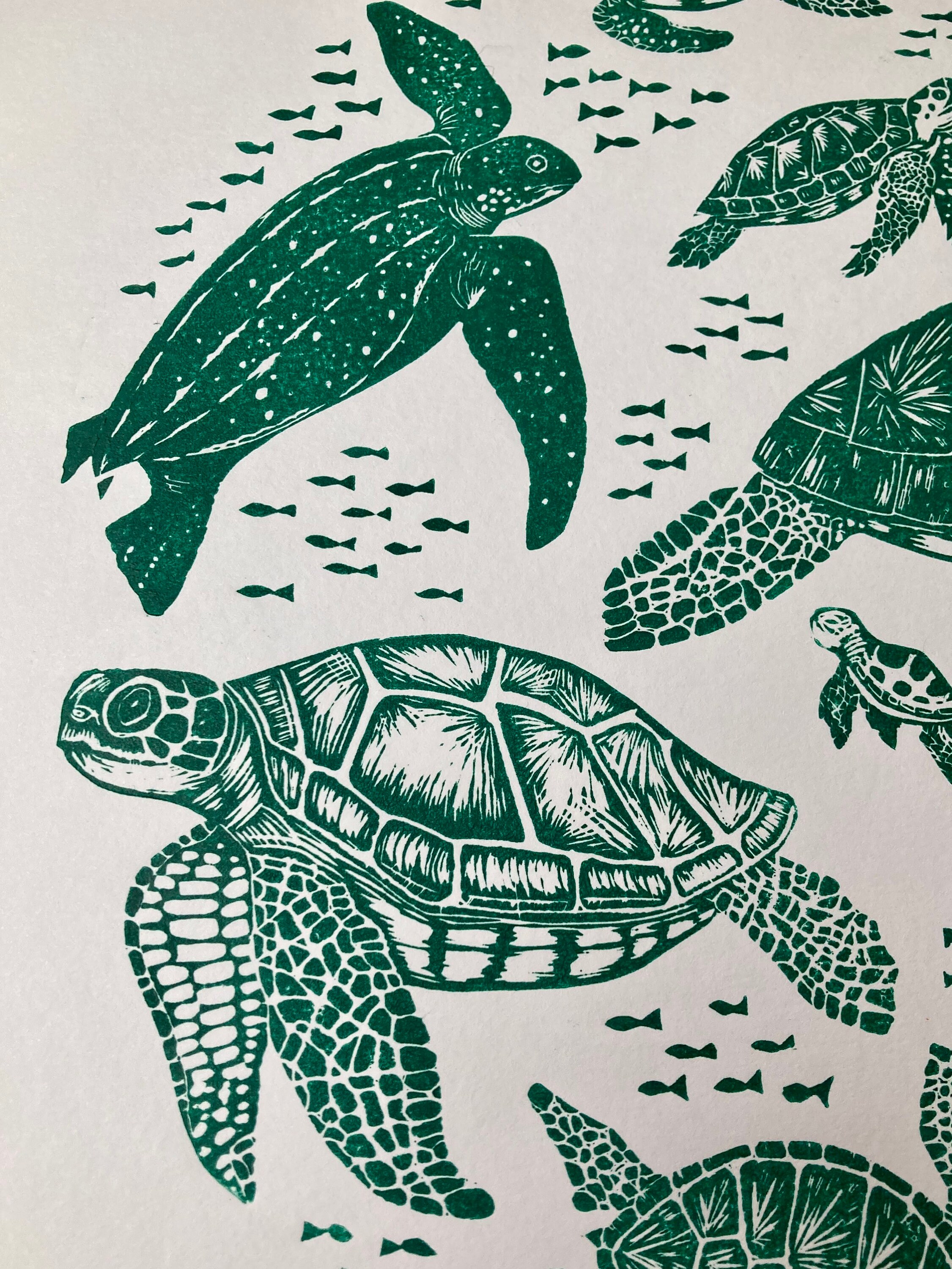 Turtle Circle Original Limited Edition Linocut Print Green - Etsy