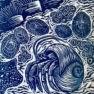 Rockpool, Original Linocut Art Print, Fish, Seaweed, Crab, Shells - Etsy UK