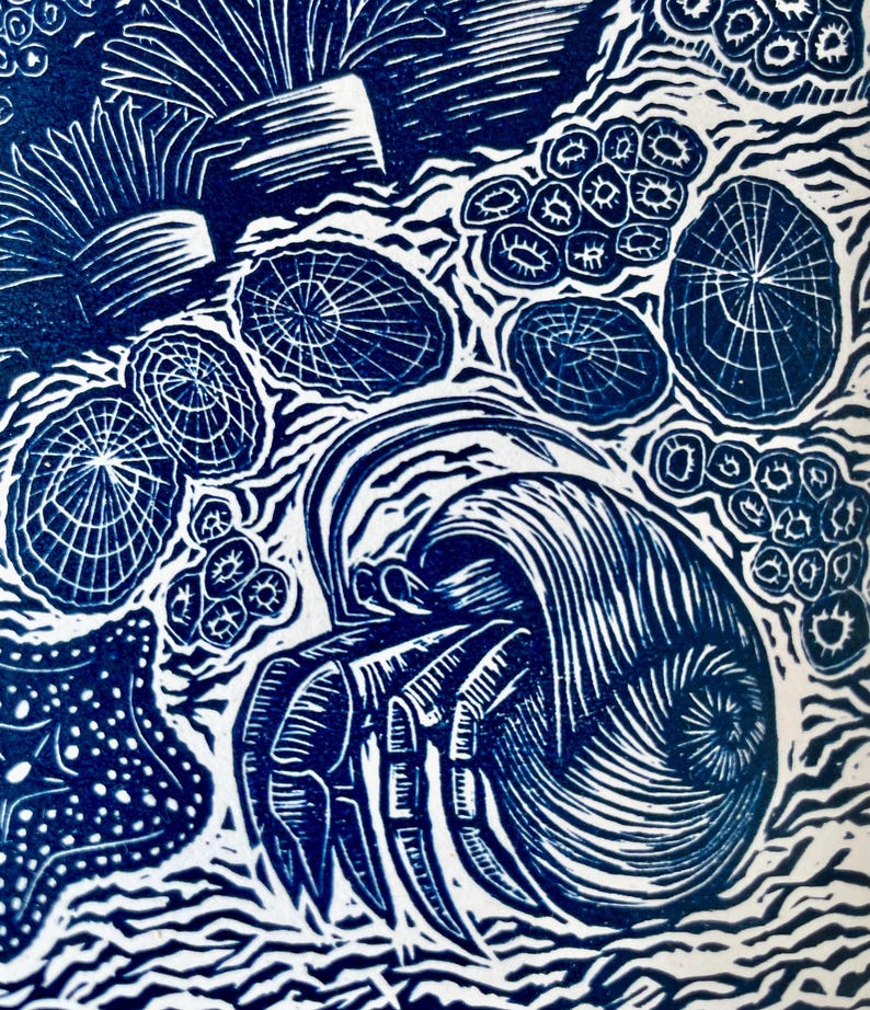 Rockpool, Original Linocut Art Print, Fish, Seaweed, Crab, Shells - Etsy