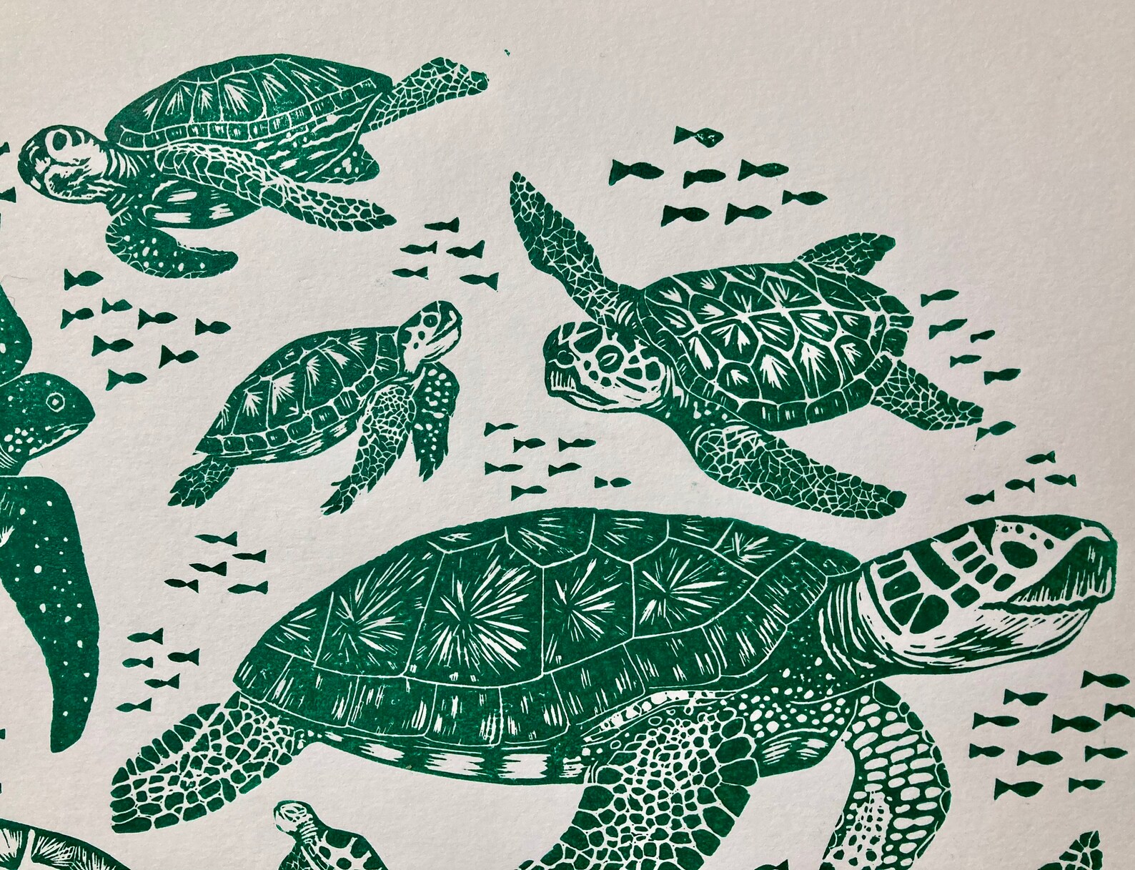 Turtle Circle, Original Limited Edition Linocut Print, Green - Etsy