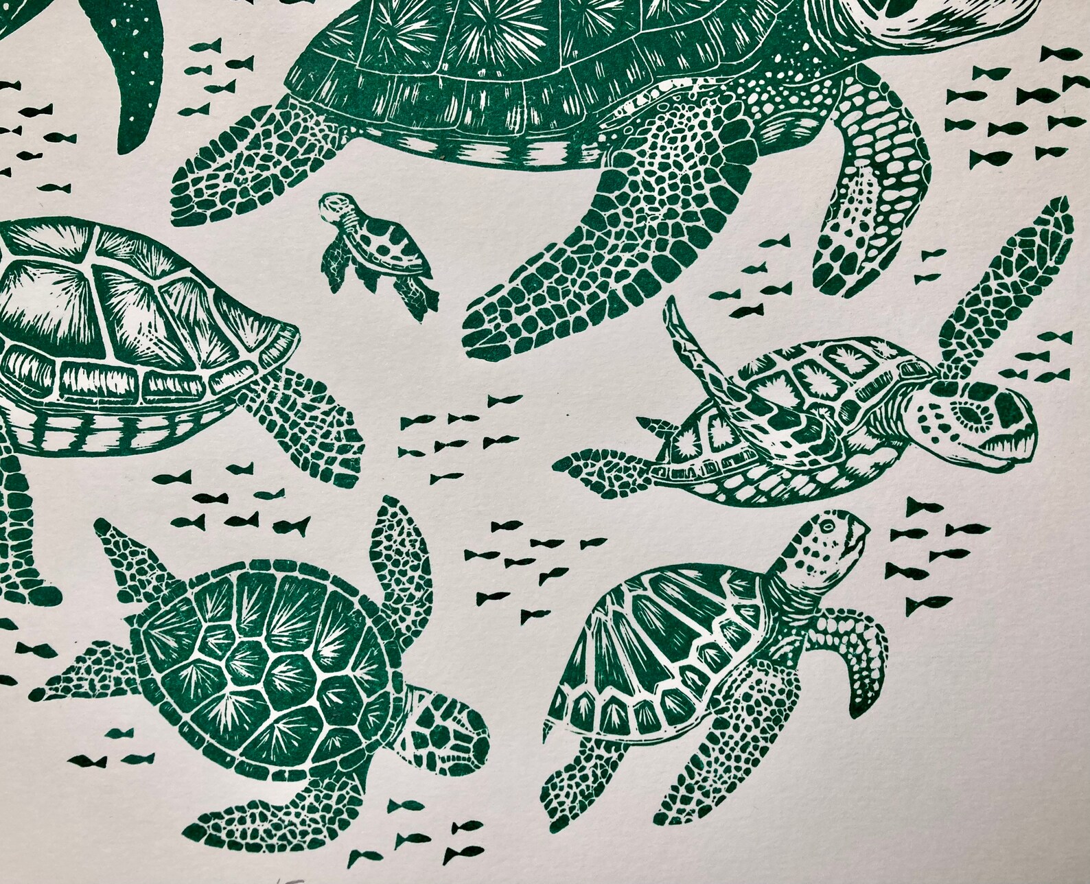 Turtle Circle Original Limited Edition Linocut Print Green - Etsy