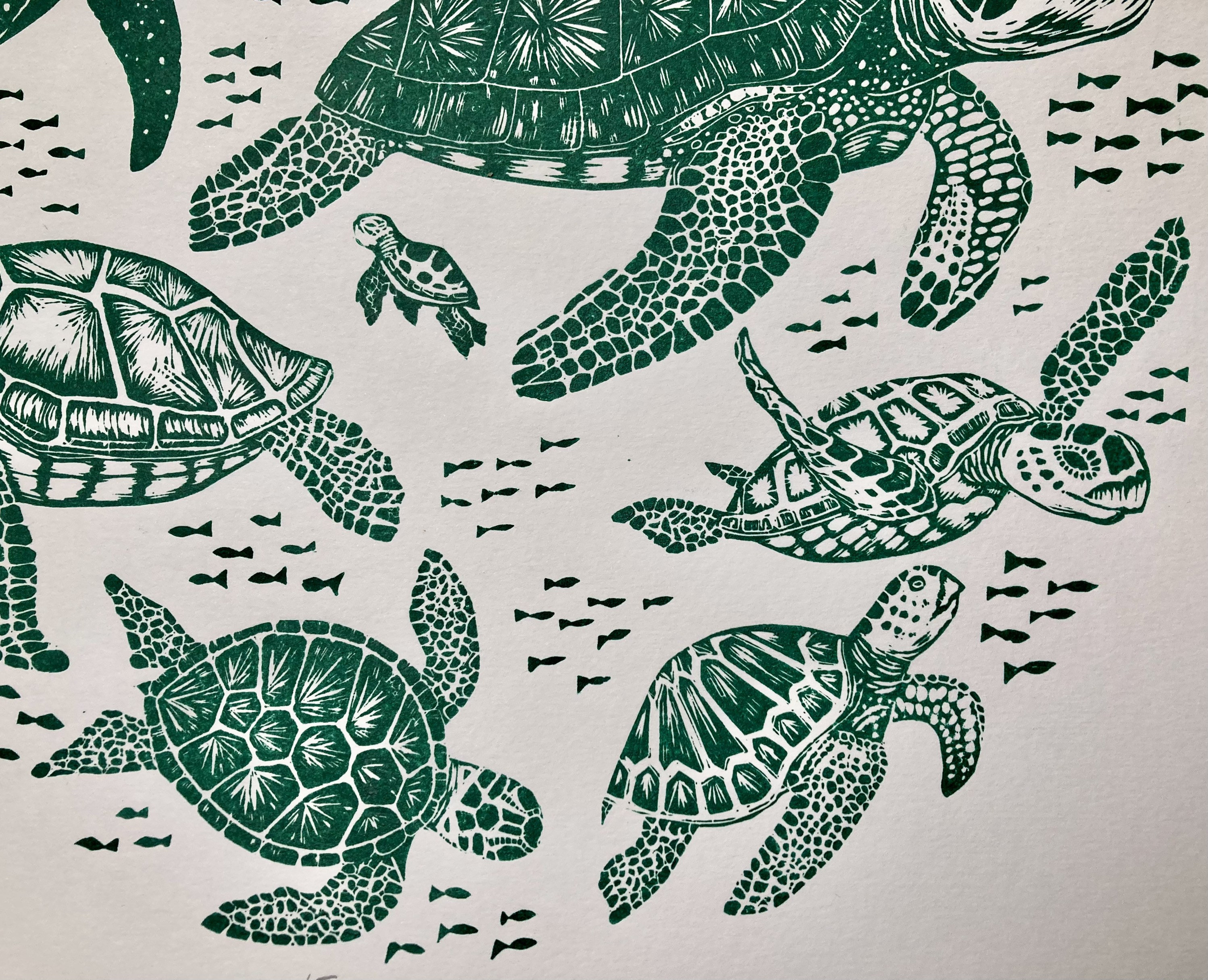 Turtle Circle Original Limited Edition Linocut Print Green - Etsy