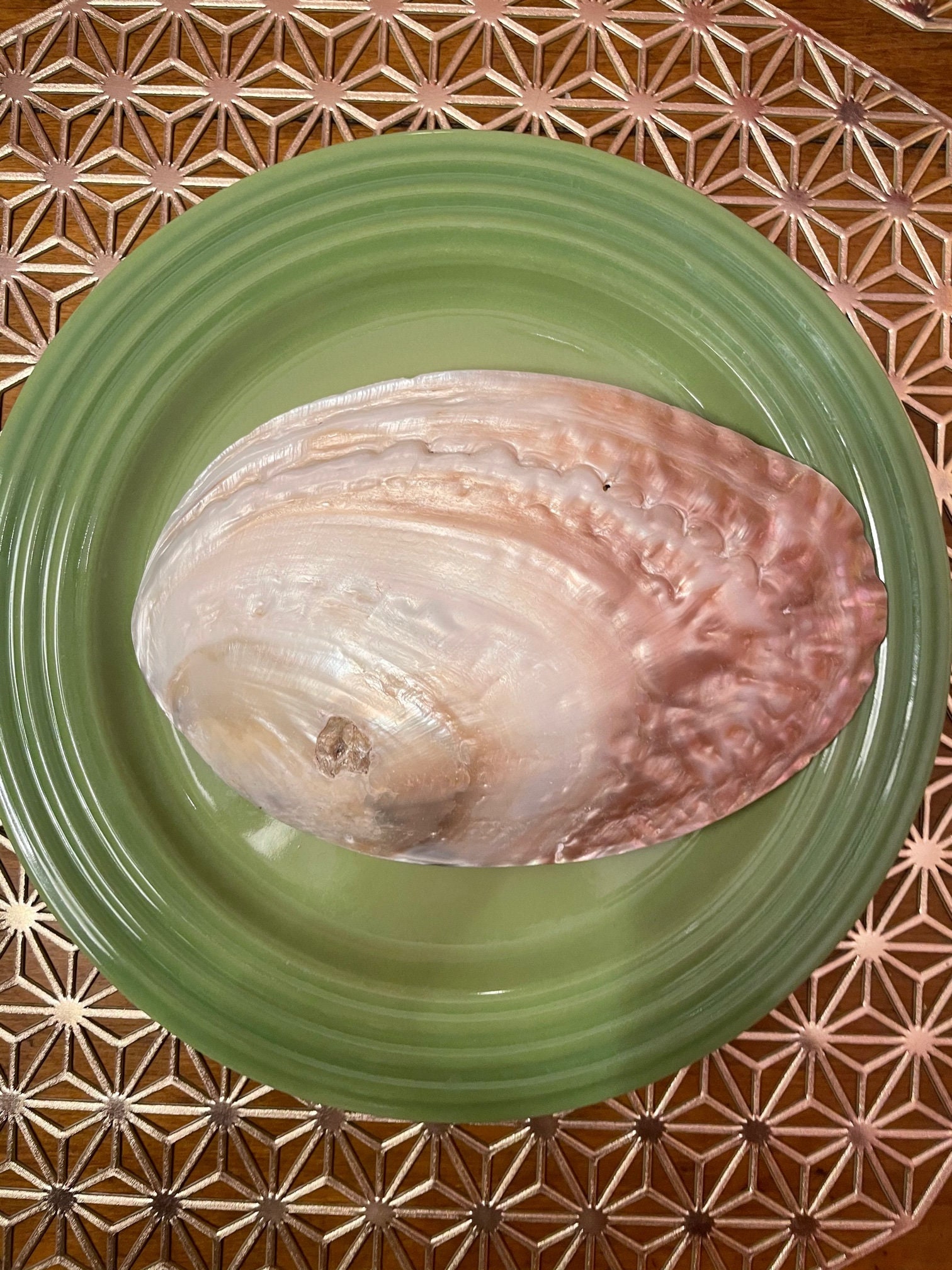 Gorgeous mother-of-pearl decorative shell featuring thirteen pearls ...