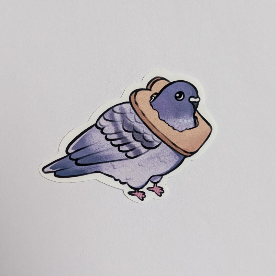 Silly Pigeon Sticker - Etsy