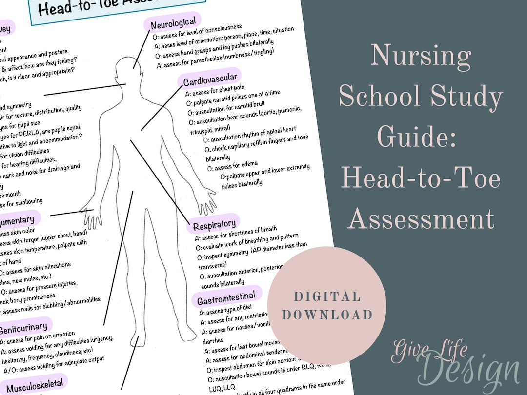 Nursing Head-to-toe Assessment Cheat Sheet - Etsy