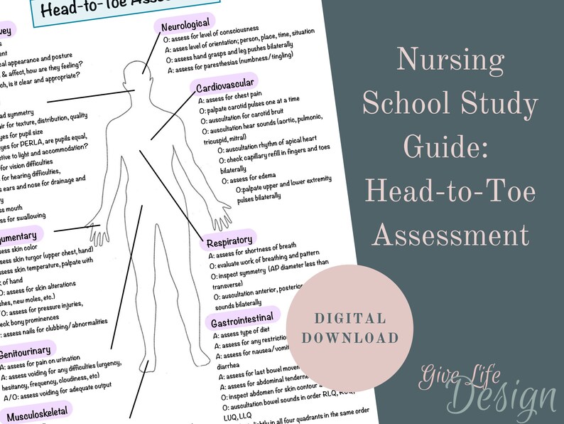 Nursing Head-to-toe Assessment Cheat Sheet - Etsy