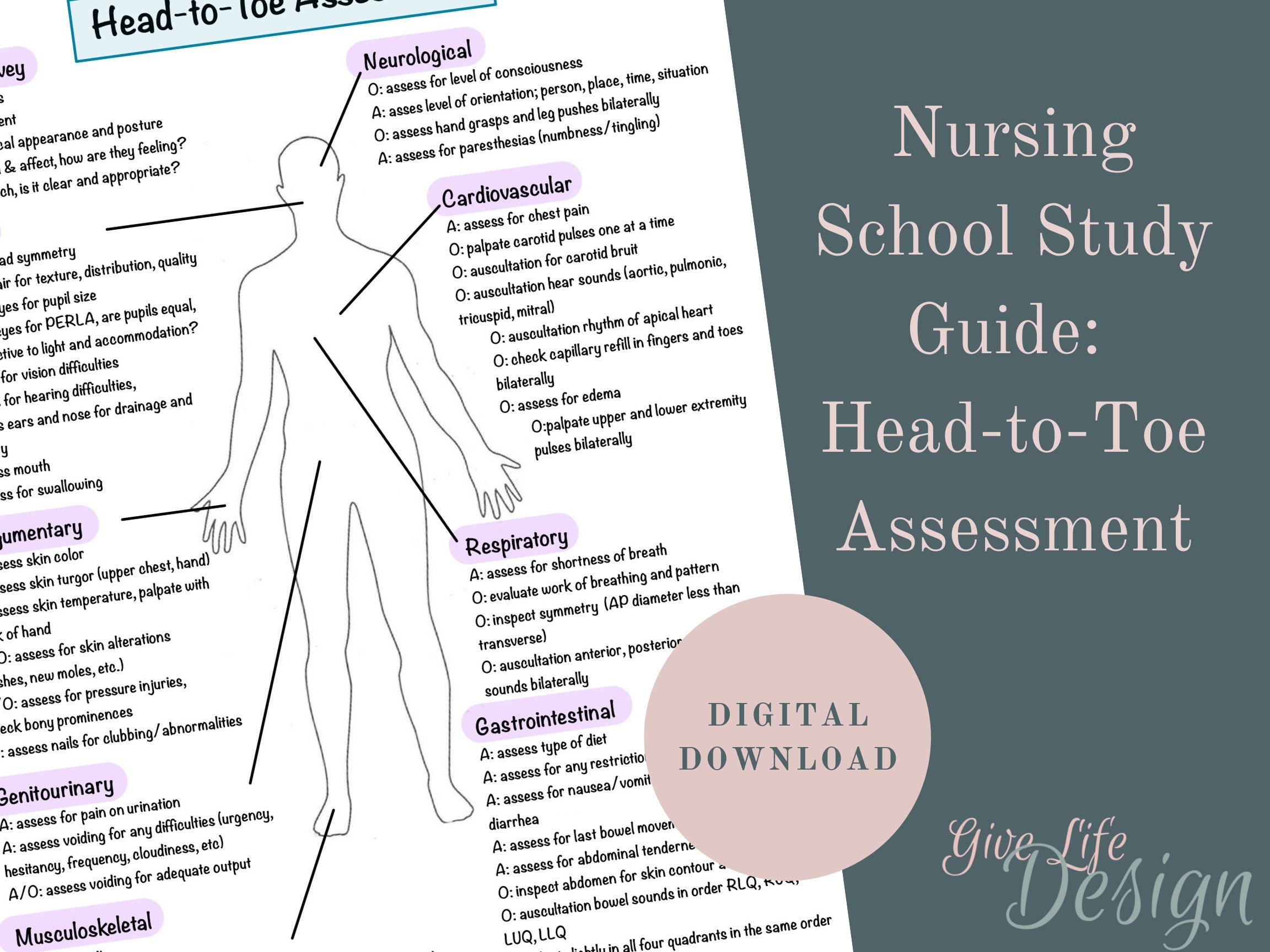 Nursing Head To Toe Assessment Cheat Sheet Etsy