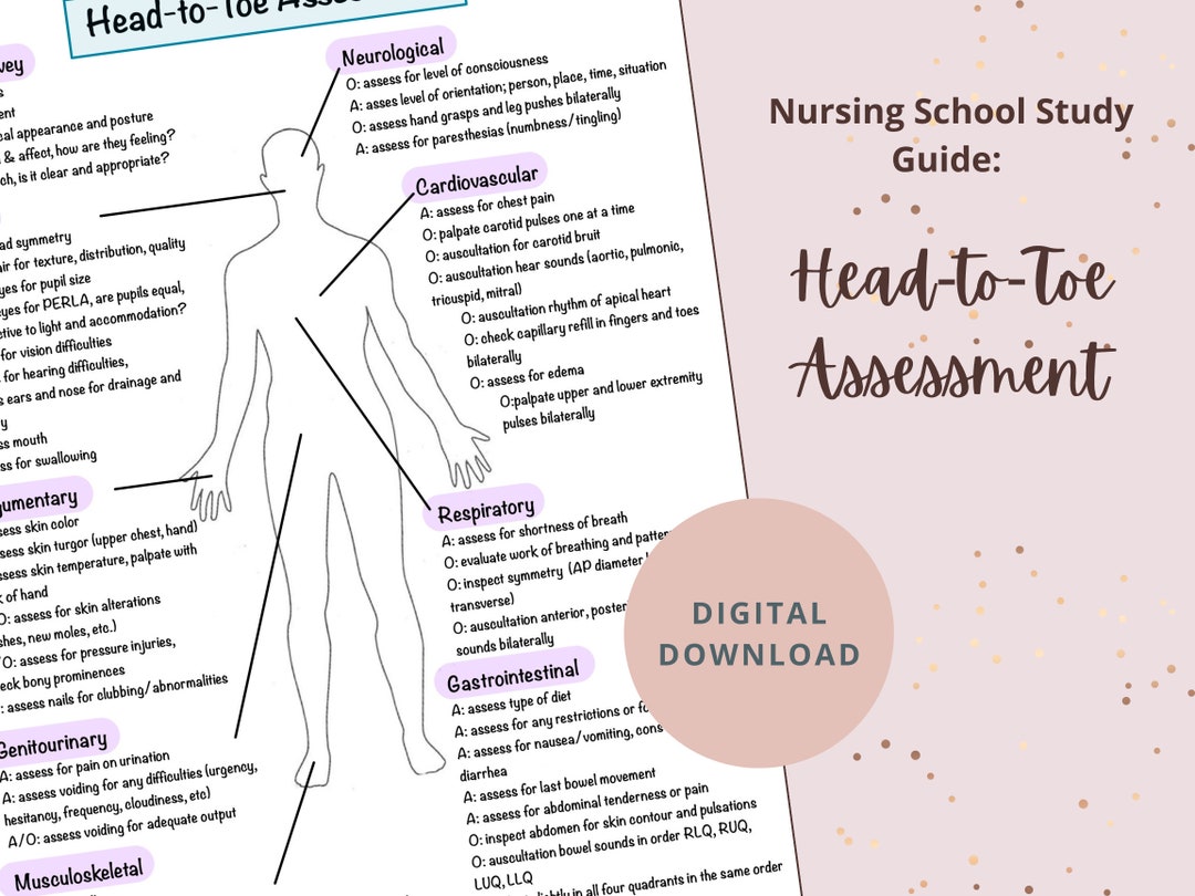 Nursing Head-to-toe Assessment, RN Assessment Sheet, Nursing Student ...
