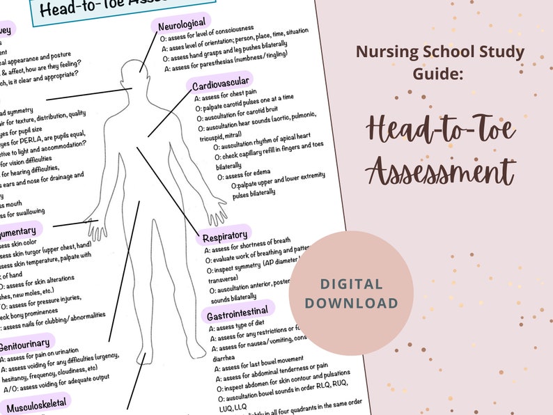 Nursing Head-to-toe Assessment, RN Assessment Sheet, Nursing Student ...