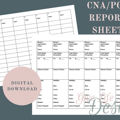 CNA Report Sheet - Etsy