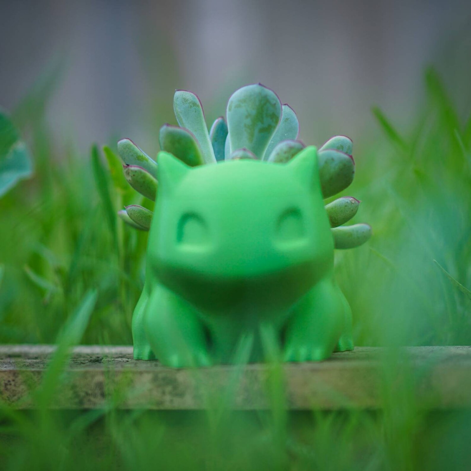 Bulbasaur Planter Pots Custom Color Options and Sizes - Etsy