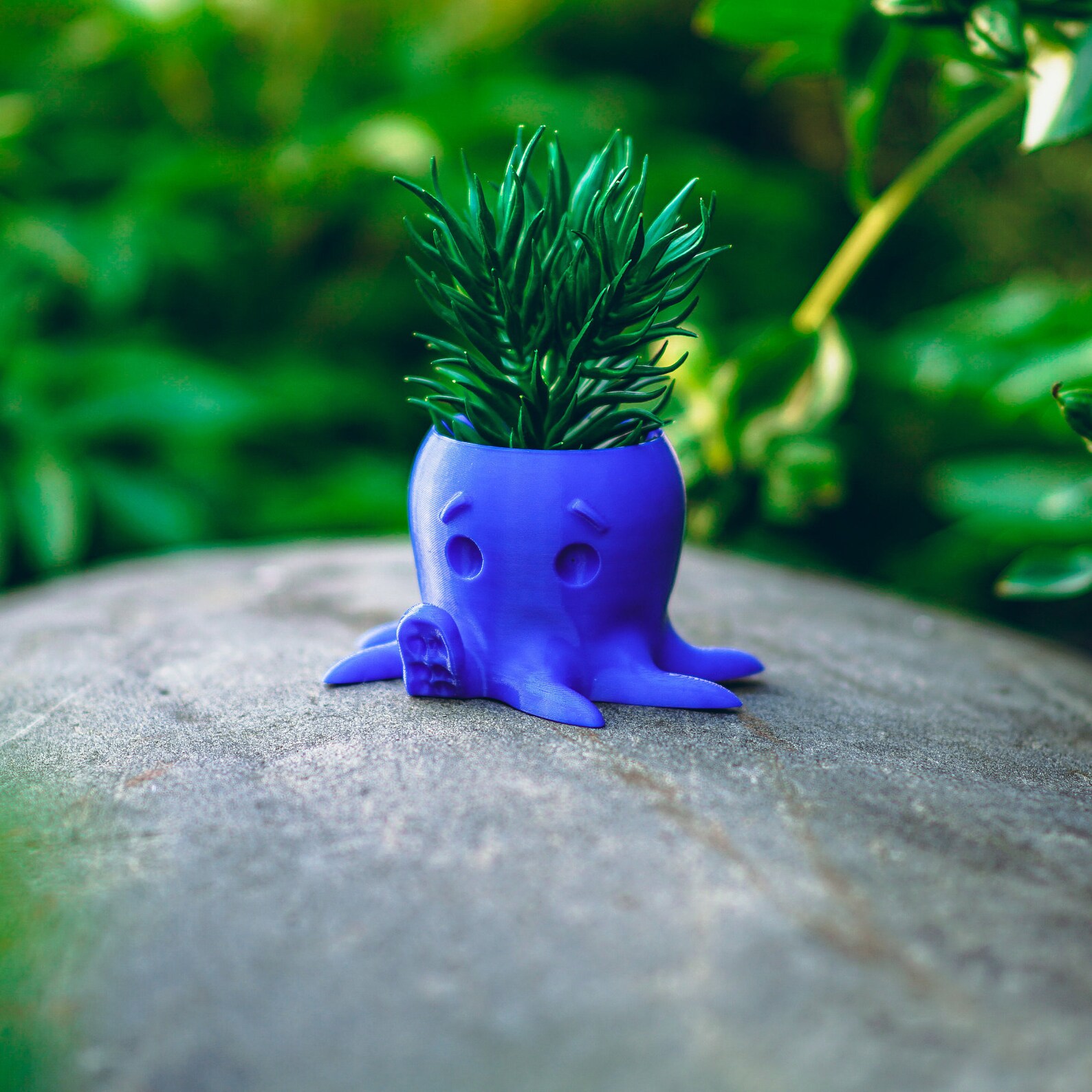 Octopus Planter Cute Home Office Decor free Saucer 3 | Etsy