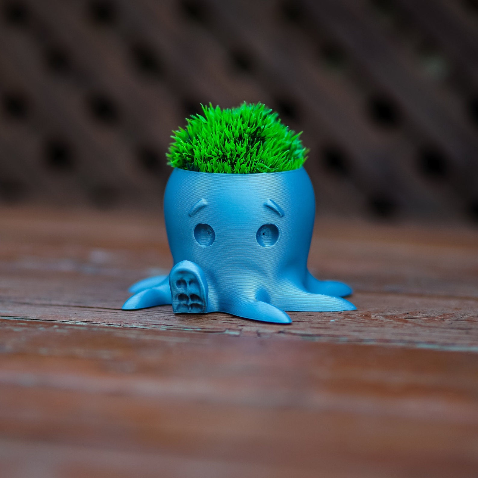 Octopus Planter Cute Home Office Decor free Saucer 3 | Etsy