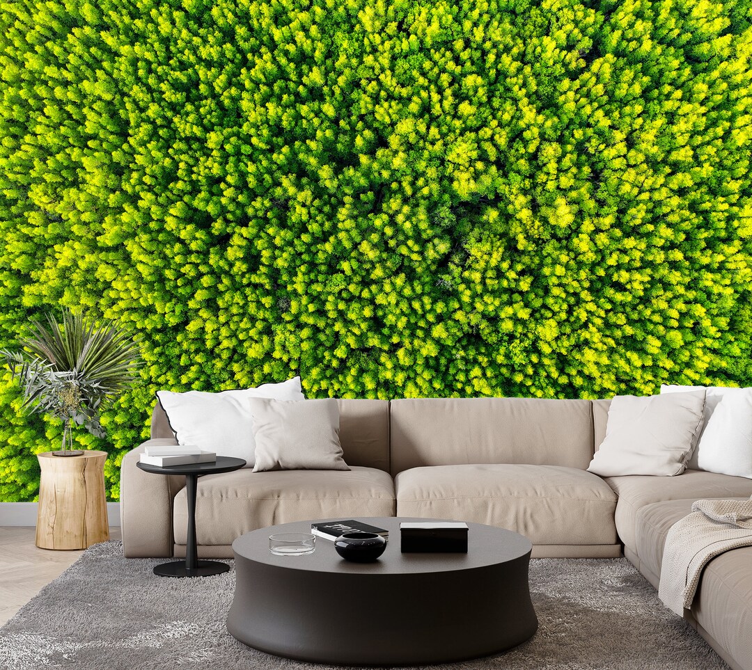 Green Forest Wallpaper Wall Art Mural Aerial View of the Trees ...